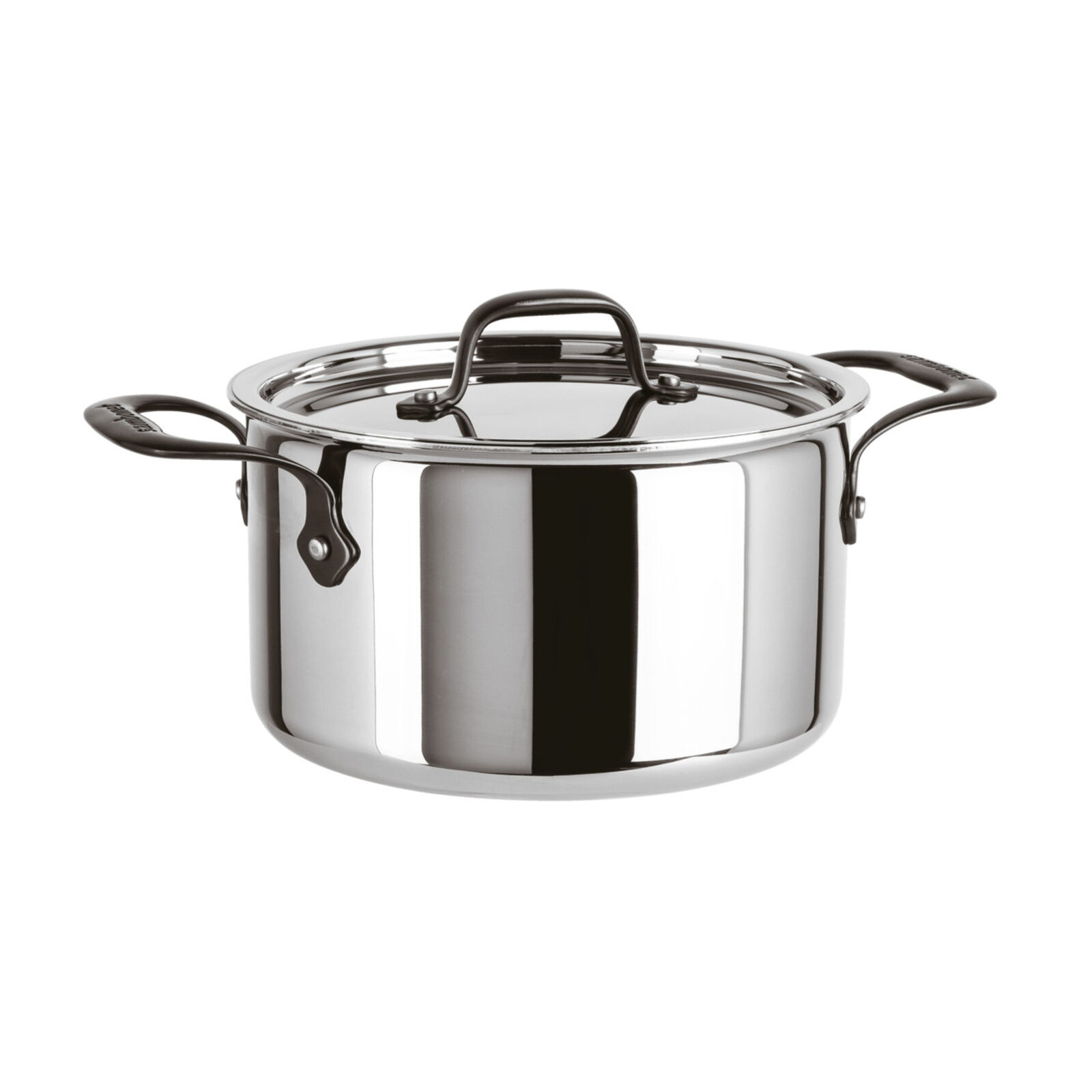 Saucepot , Steel, Home Chef, Sambonet